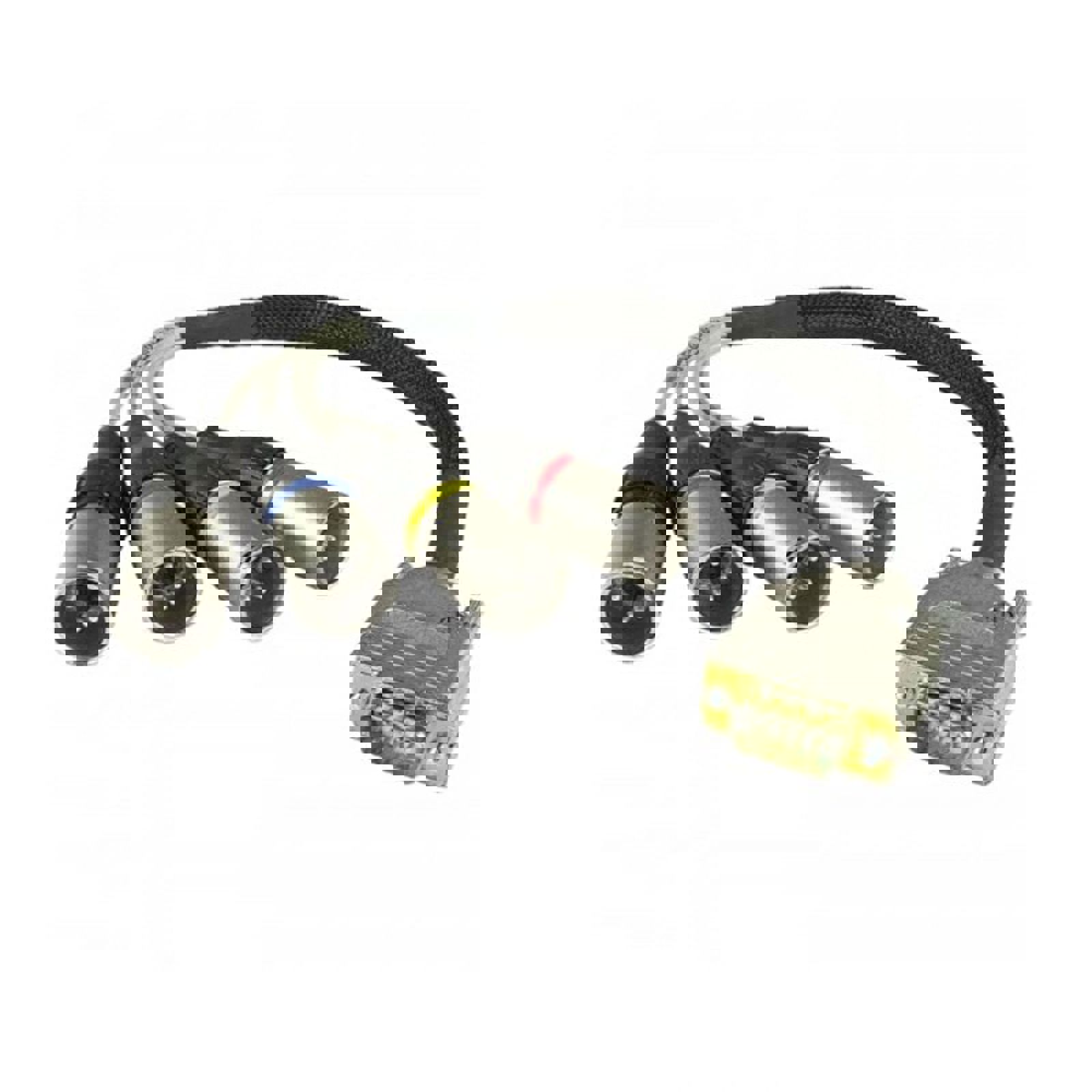 Focusrite AES-Cable D-Sub-4x XLR - Tónastöðin - Allt fyrir tónlistarmanninn